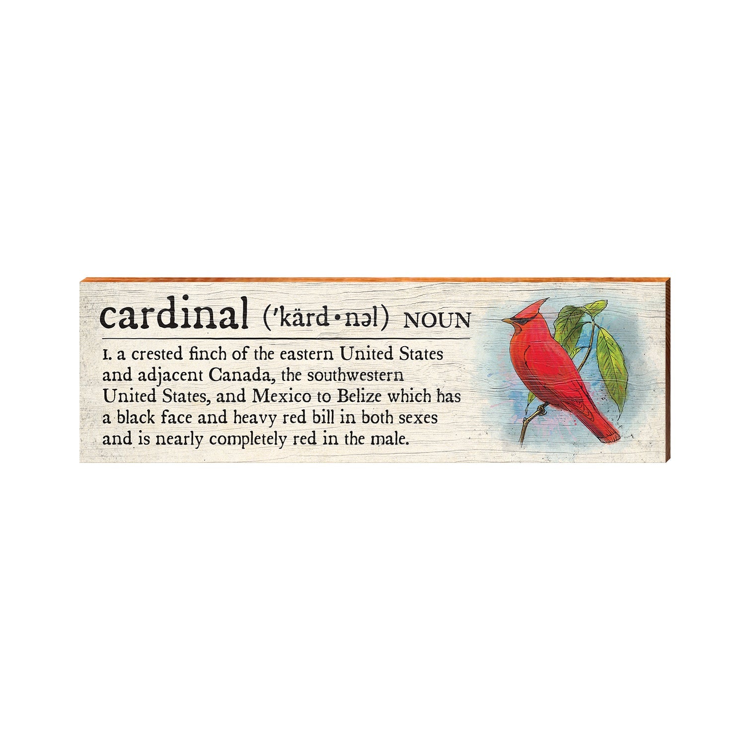 Cardinal Definition Wooden Sign | Wall Art Print on Real Wood | Bird H ...