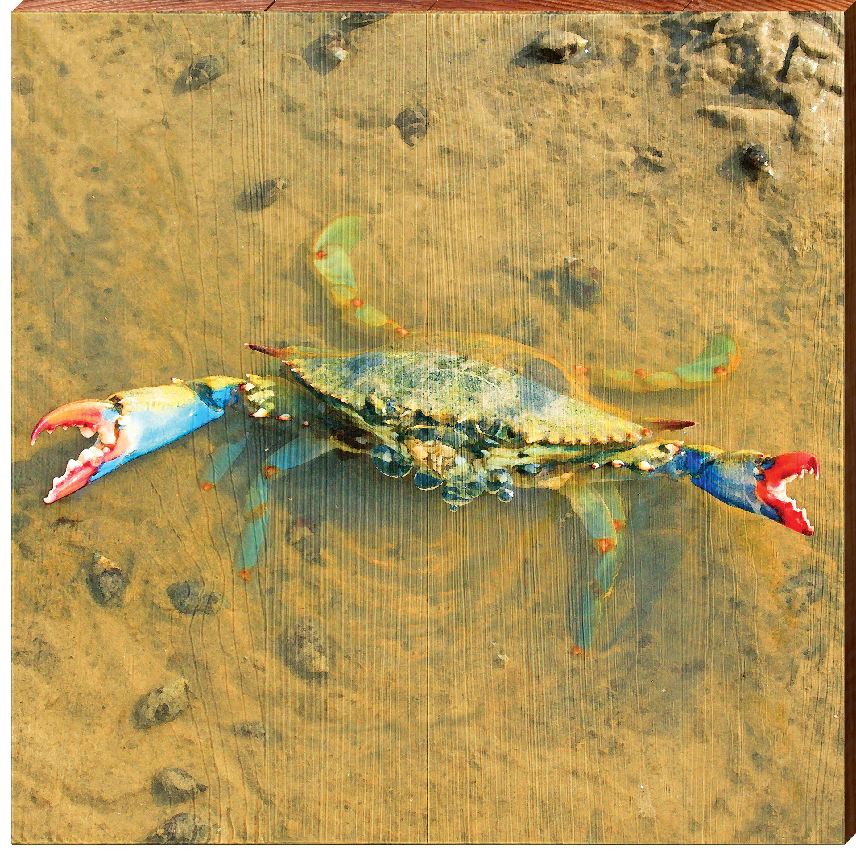 Tidal Pool Blue Crab | Wall Art Print on Real Wood – Mill Wood Art