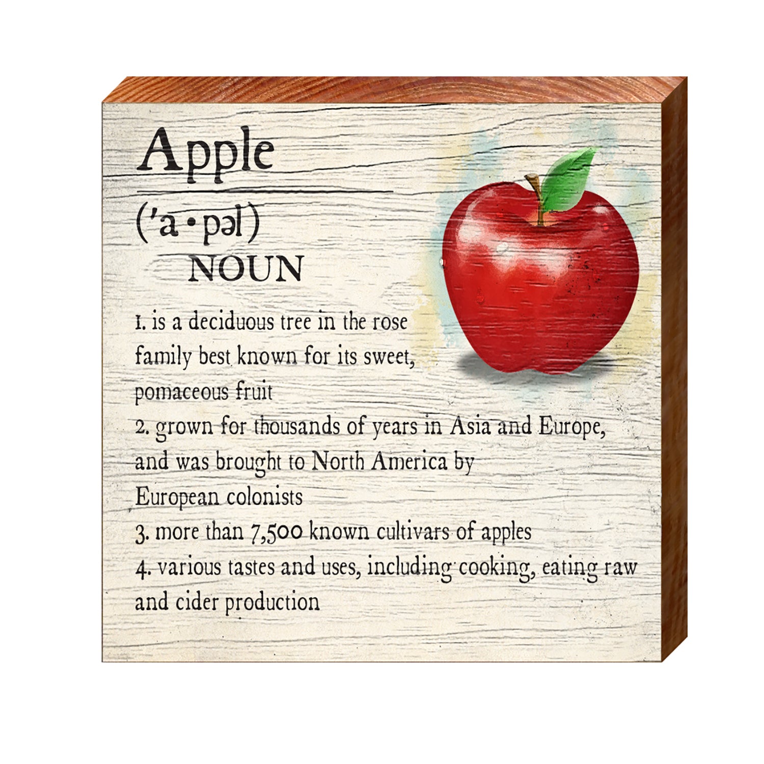 Apple Definition Wooden Sign | Wall Art Print on Real Wood | Home Deco ...
