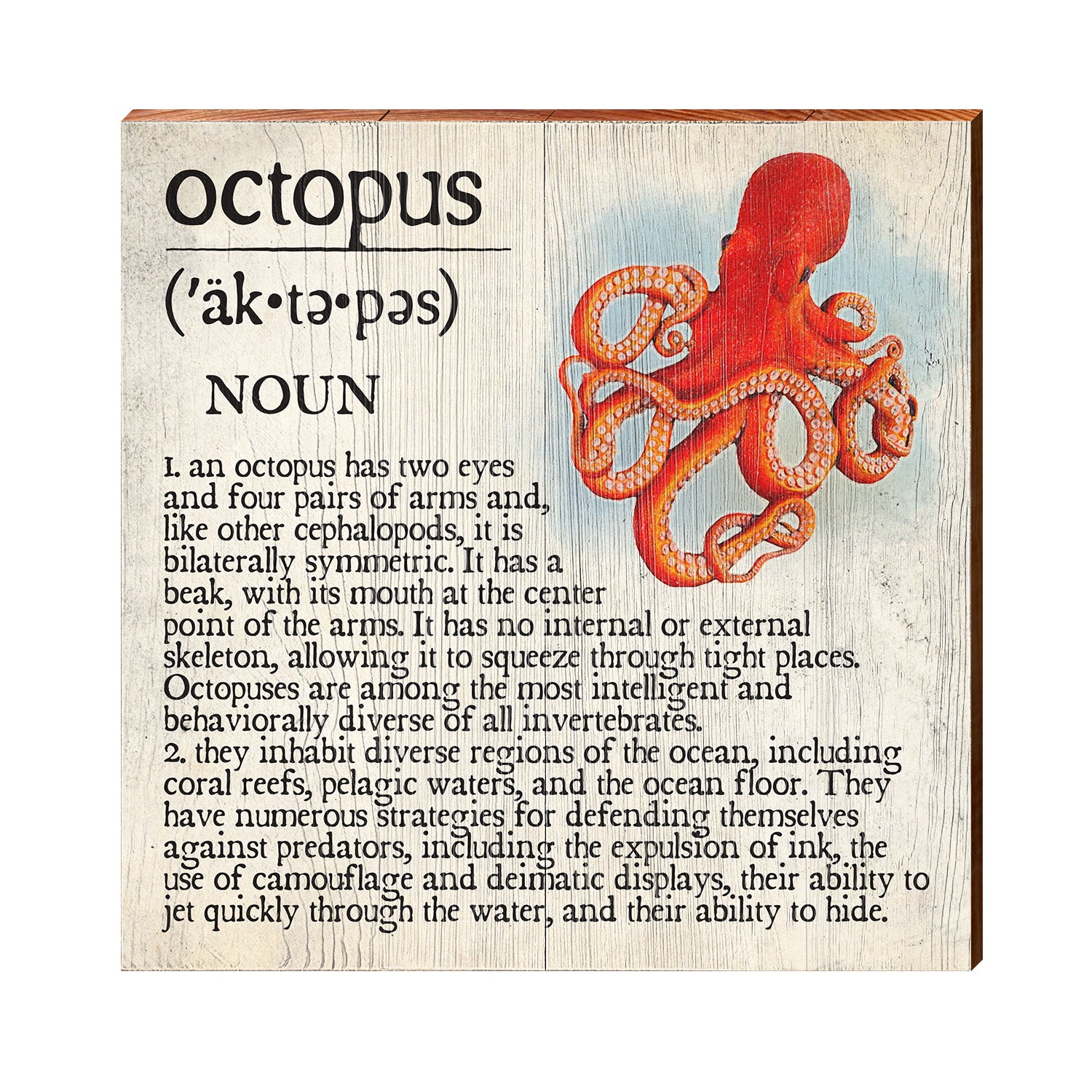 Octopussy Meaning Rare 9 Legged Octopus Found Off Coast In