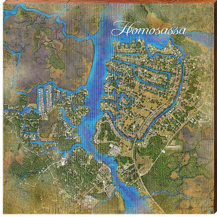 Homosassa, Florida Satellite Styled Map Wall Art | Wall Art Print on R ...