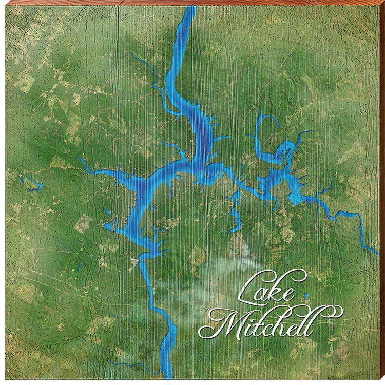 Mitchell Lake, Alabama Satellite Map | Wall Art Print on Real Wood ...